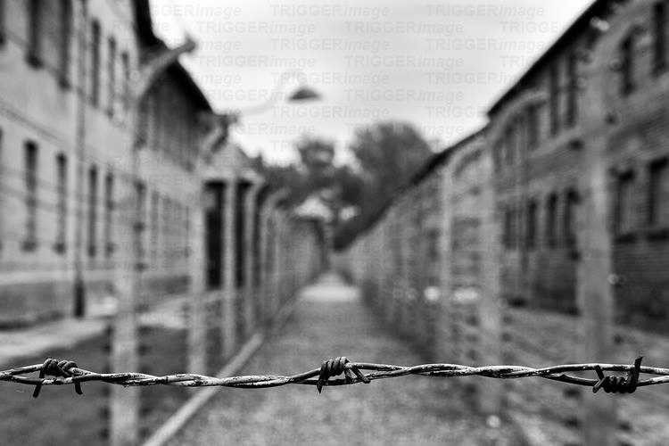 Tomislav Karamarko: Komunizam, nacizam i fašizam krvavo su obilježili ...