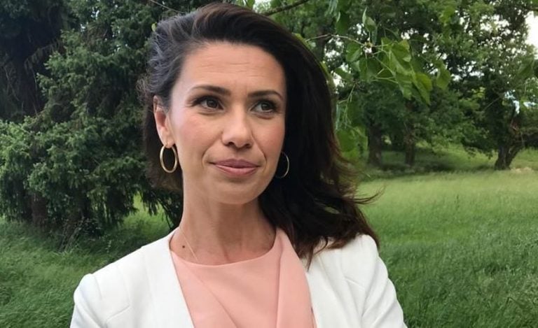 Vukelić: SDP-ove optužbe za revizionizam neutemeljene - Kamenjar